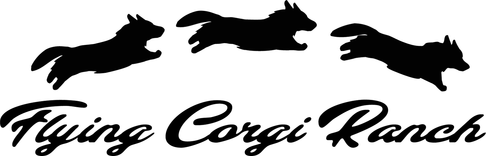 Home – Flying Corgi Ranch